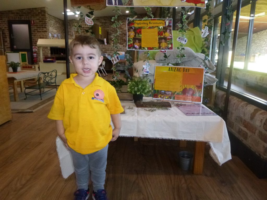 Program and Curriculum - Horsley Kids Horsley Kids